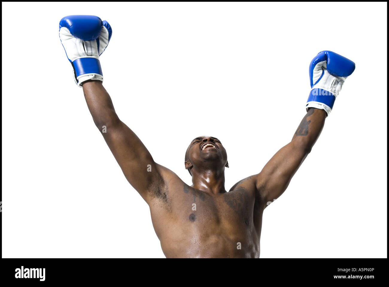 Boxer celebrating victory Stock Photo - Alamy