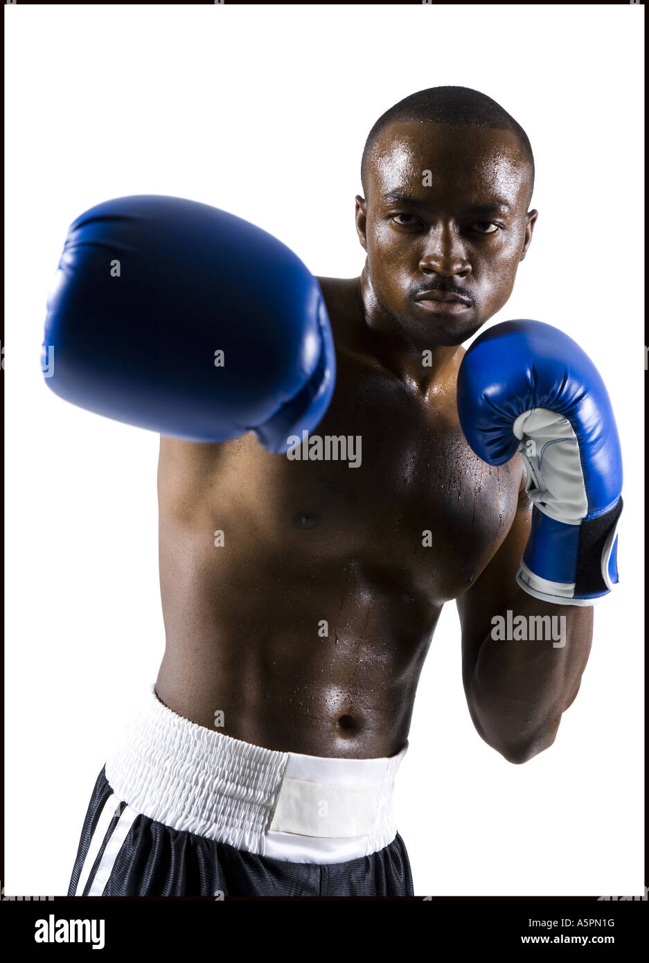 Boxers Cutout High Resolution Stock Photography and Images - Alamy