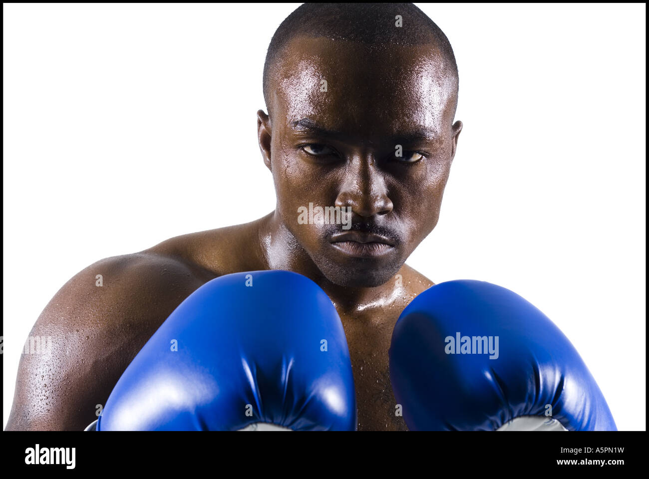 Boxers Cutout High Resolution Stock Photography and Images - Alamy