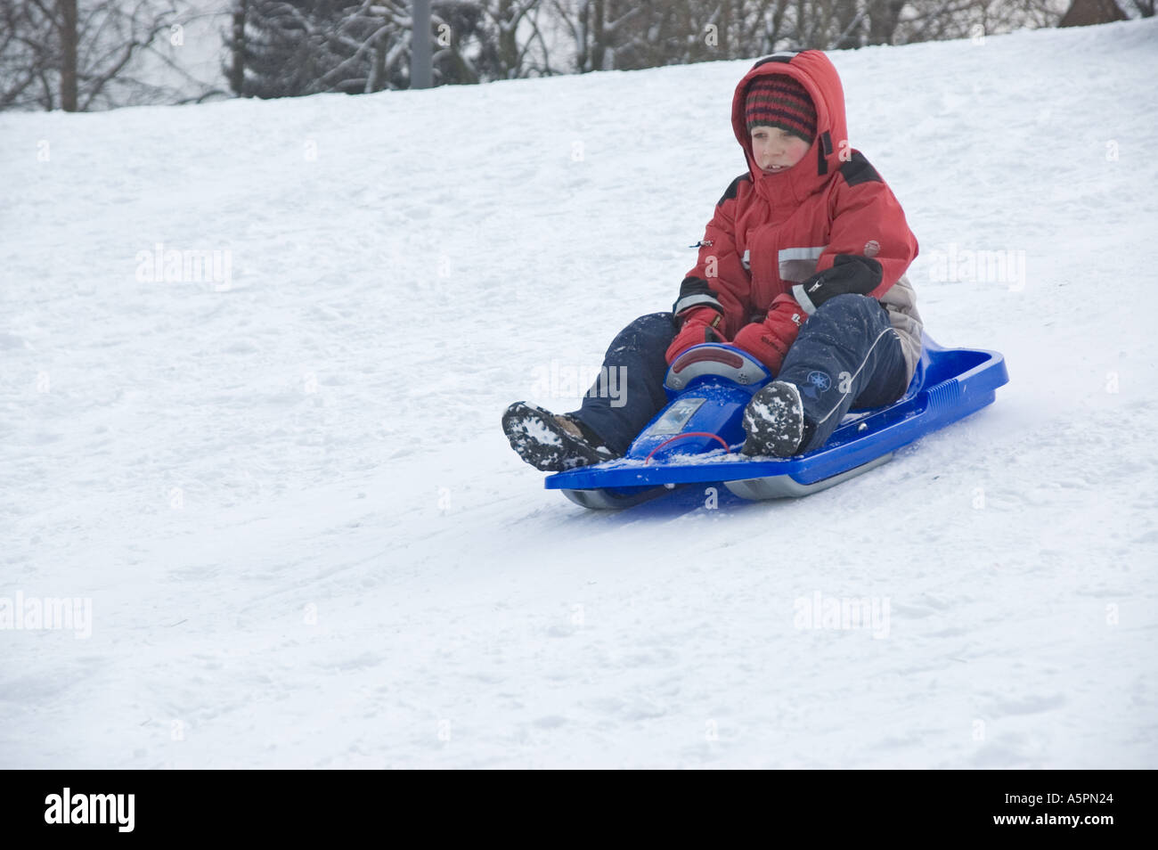 Bob sledging hi-res stock photography and images - Alamy