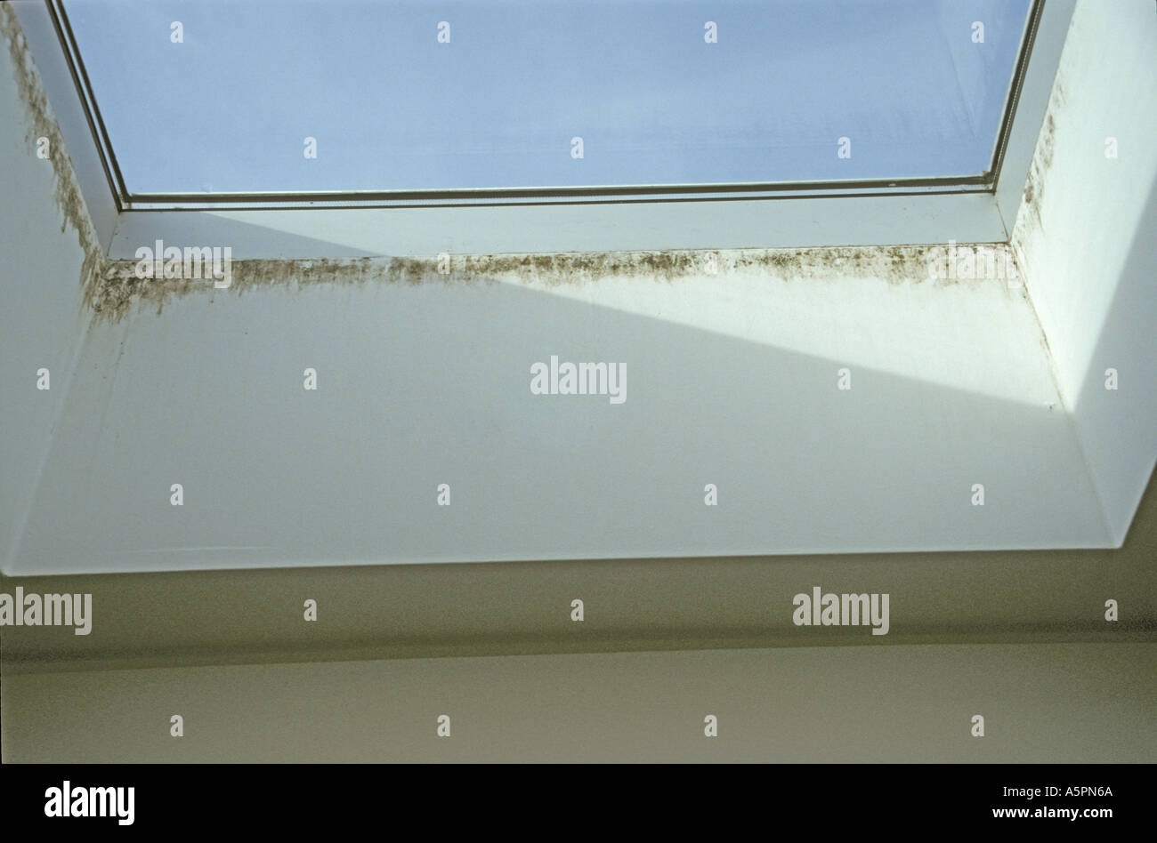 Roof window with mould spots Stock Photo - Alamy