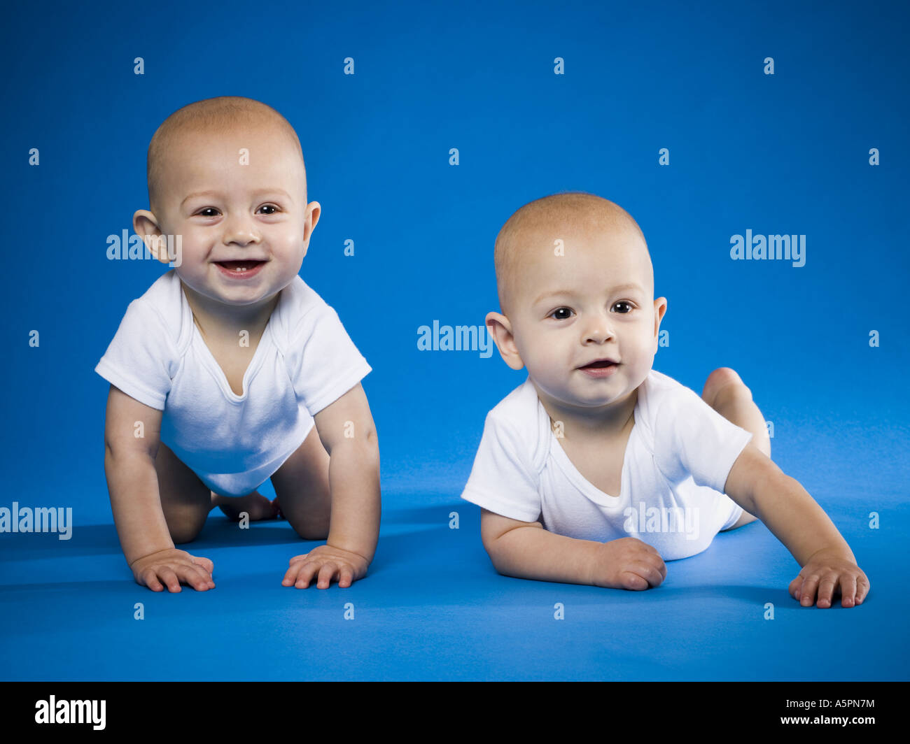 Identical twin babies crawling Stock Photo - Alamy