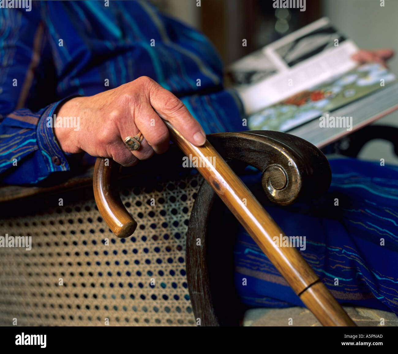 Woman holds reads book sitting hi-res stock photography and images - Alamy
