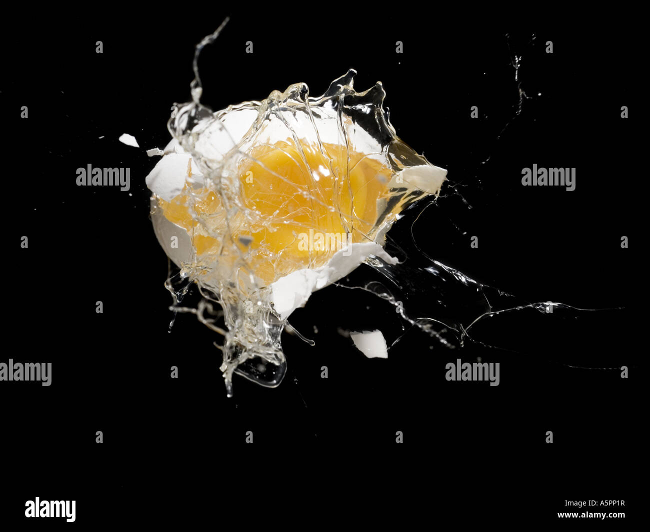 Gun egg hi-res stock photography and images - Alamy