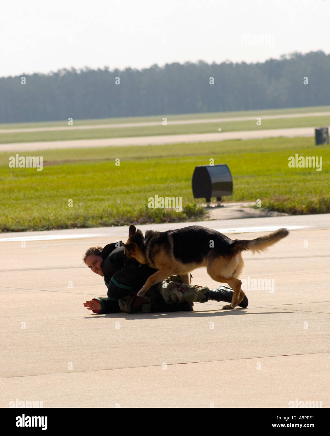 American law enforcement training hi-res stock photography and images ...