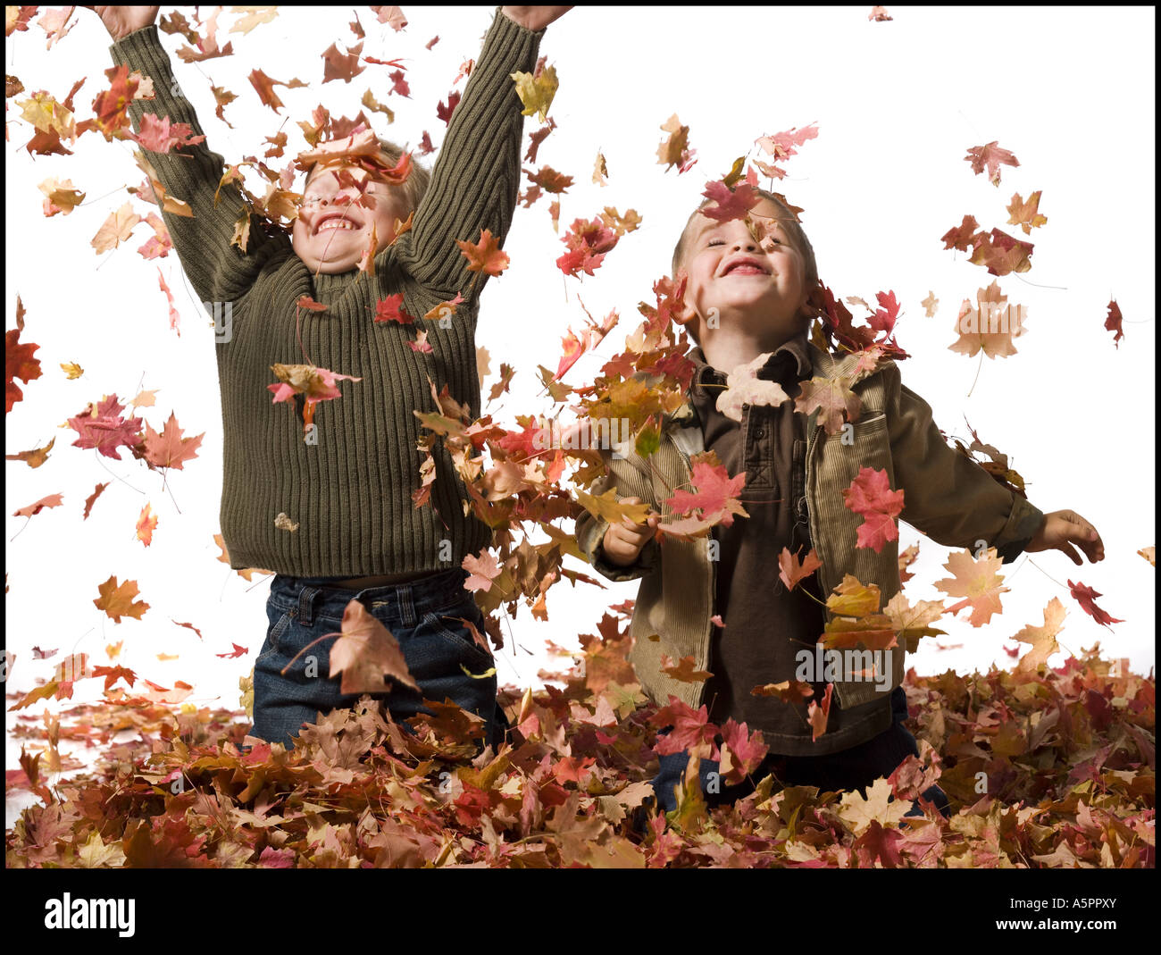 Young children playing in pile of fallen leaves Stock Photo - Alamy