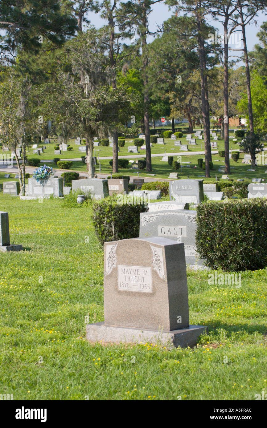 Bury head in a stone hi-res stock photography and images - Alamy