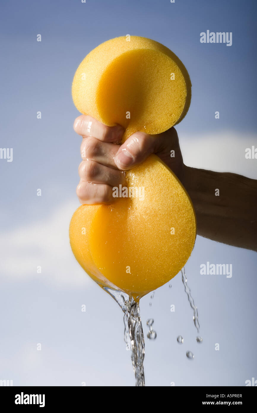 Hand wringing a sponge Stock Photo - Alamy