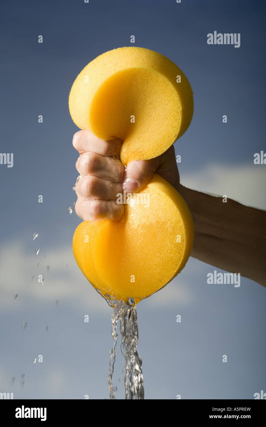 Hand wringing a sponge Stock Photo - Alamy