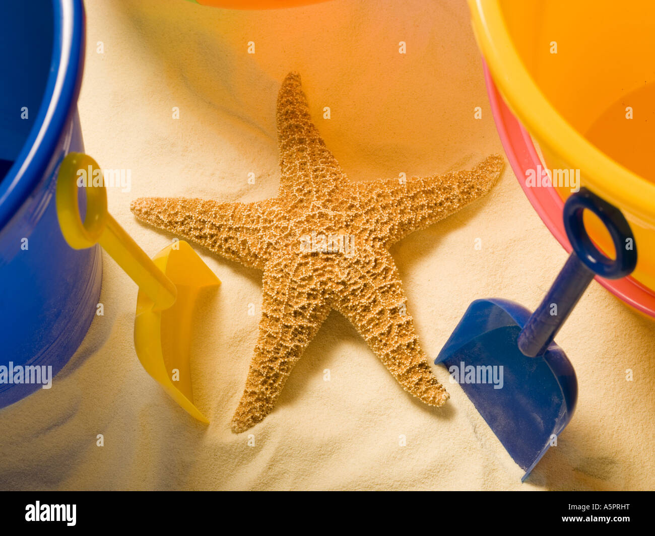Starfish sand pail beach toys hi-res stock photography and images - Alamy