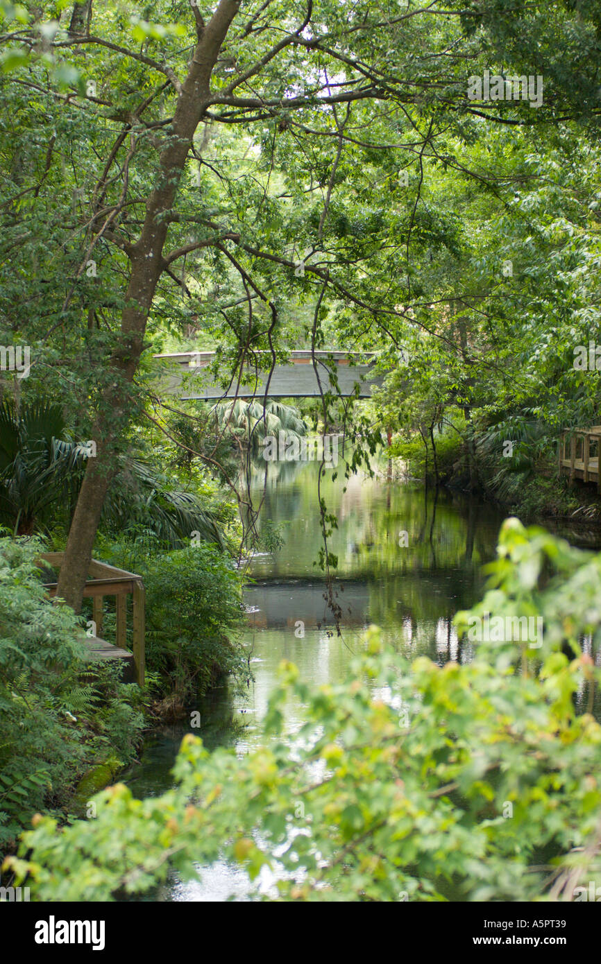 Serene environment hi-res stock photography and images - Alamy