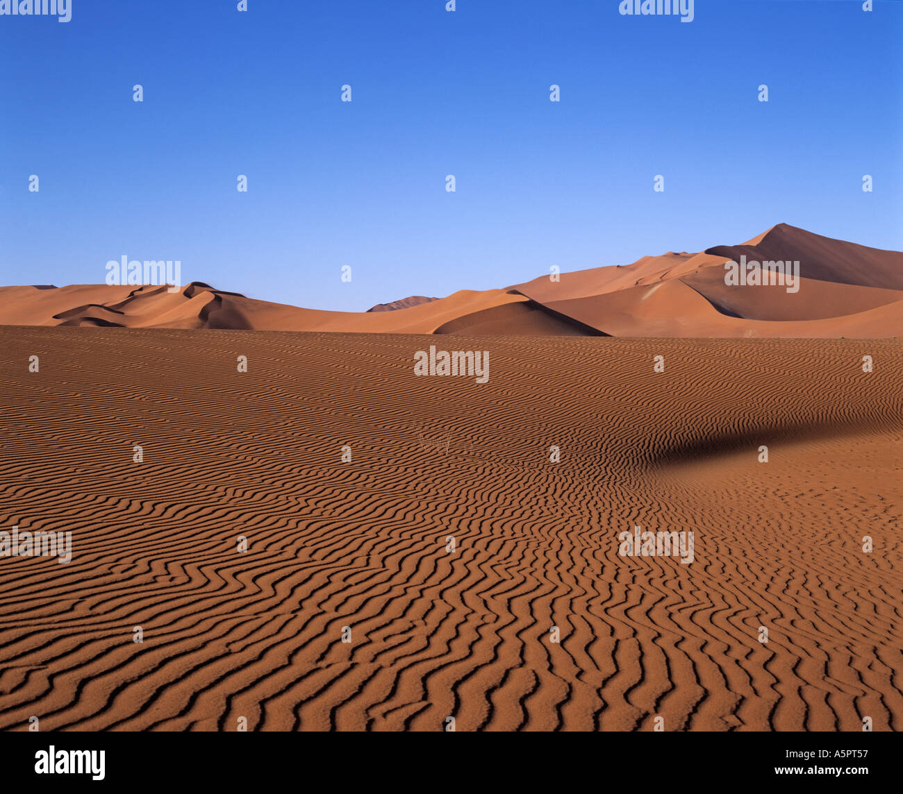 Dunes Sossusvlei Namib dessert Namibia Stock Photo - Alamy