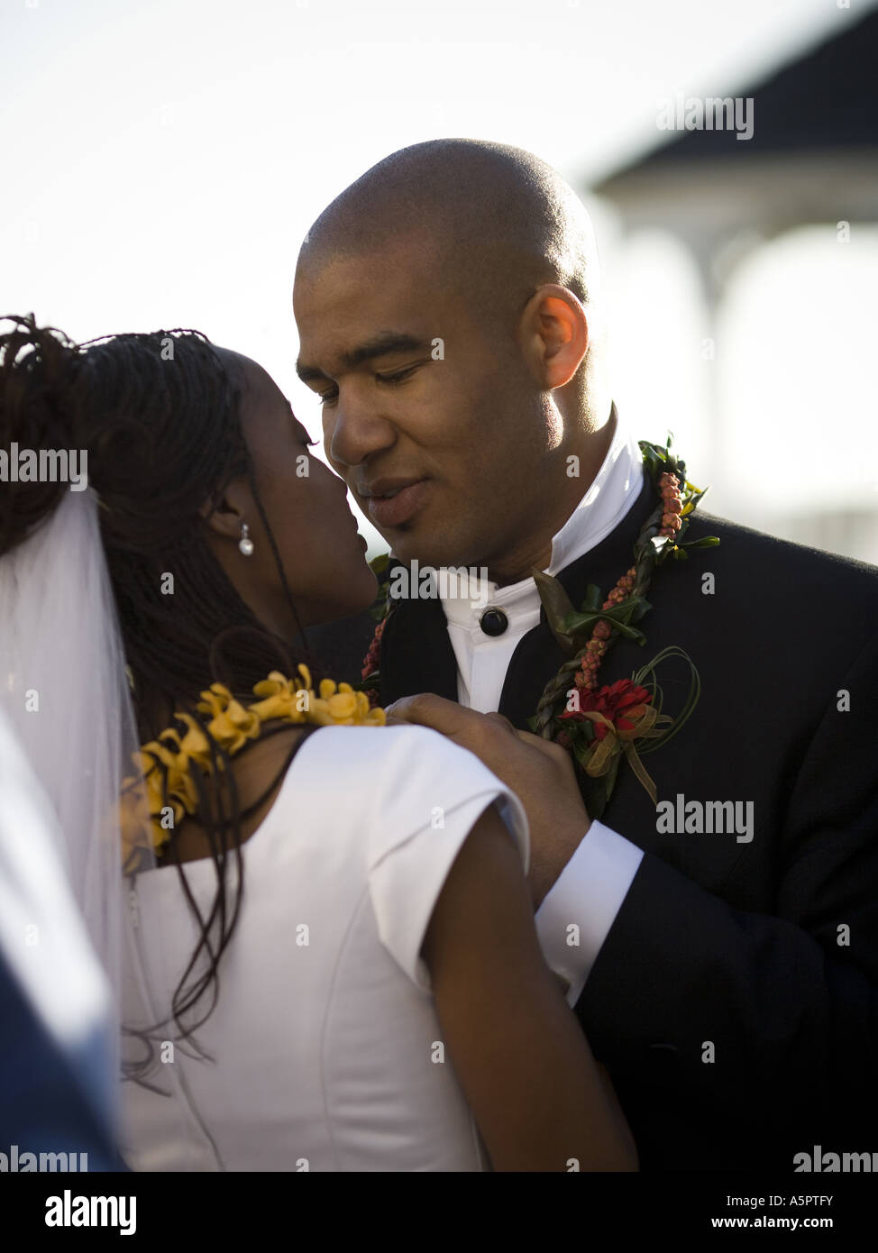 Close up bride groom hi-res stock photography and images - Alamy