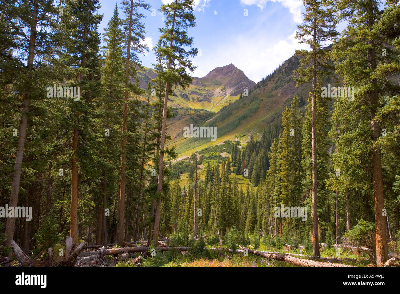 scenic landscape above Crested Butte,Colorado Stock Photo - Alamy