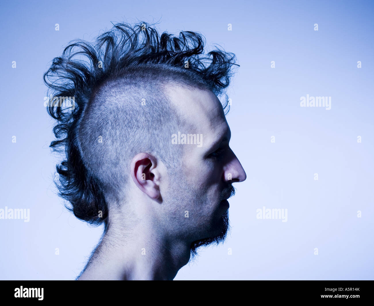 Side profile of man with half shaved hair and beard Stock Photo - Alamy