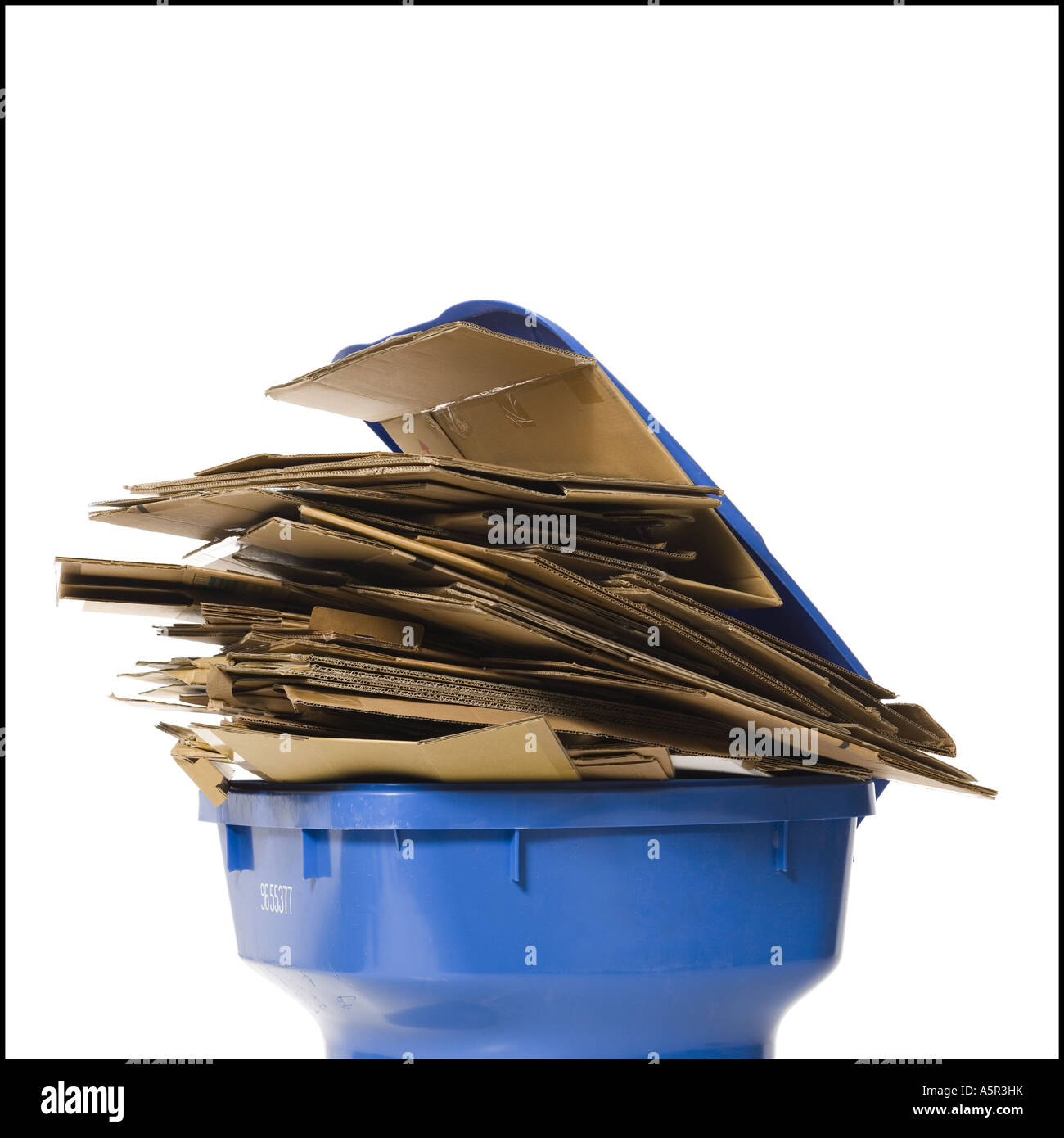 Recycling container with cardboard boxes Stock Photo - Alamy