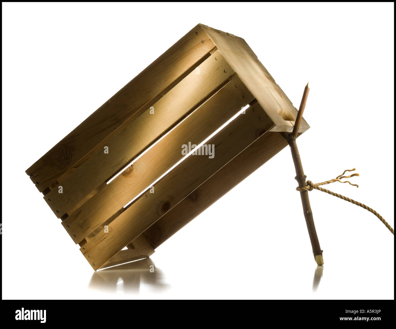 Box trap hi-res stock photography and images - Alamy