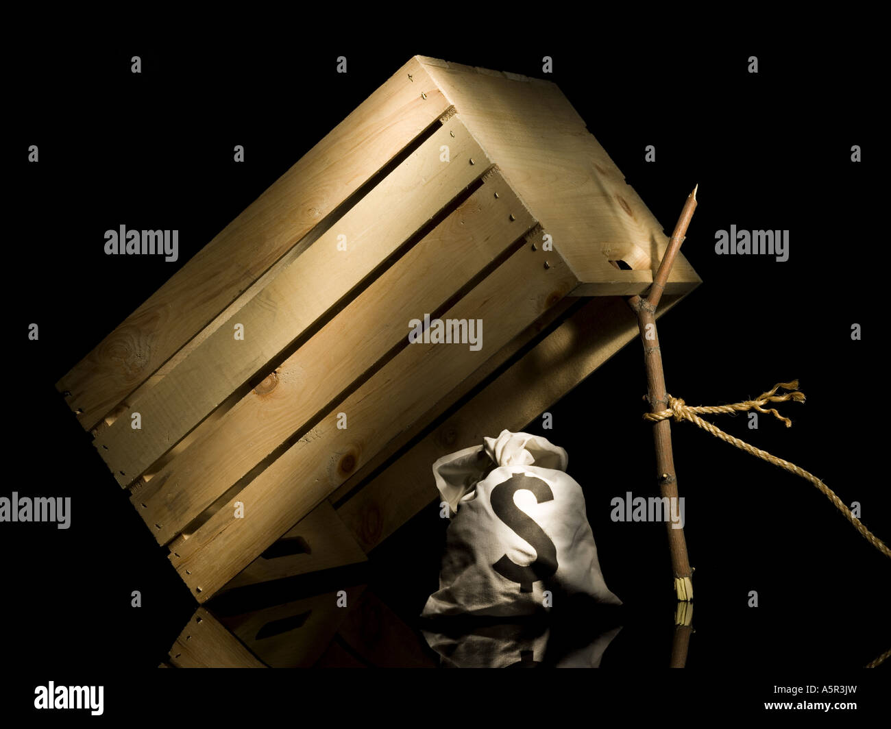 Wooden crate with branch and money bag Stock Photo - Alamy
