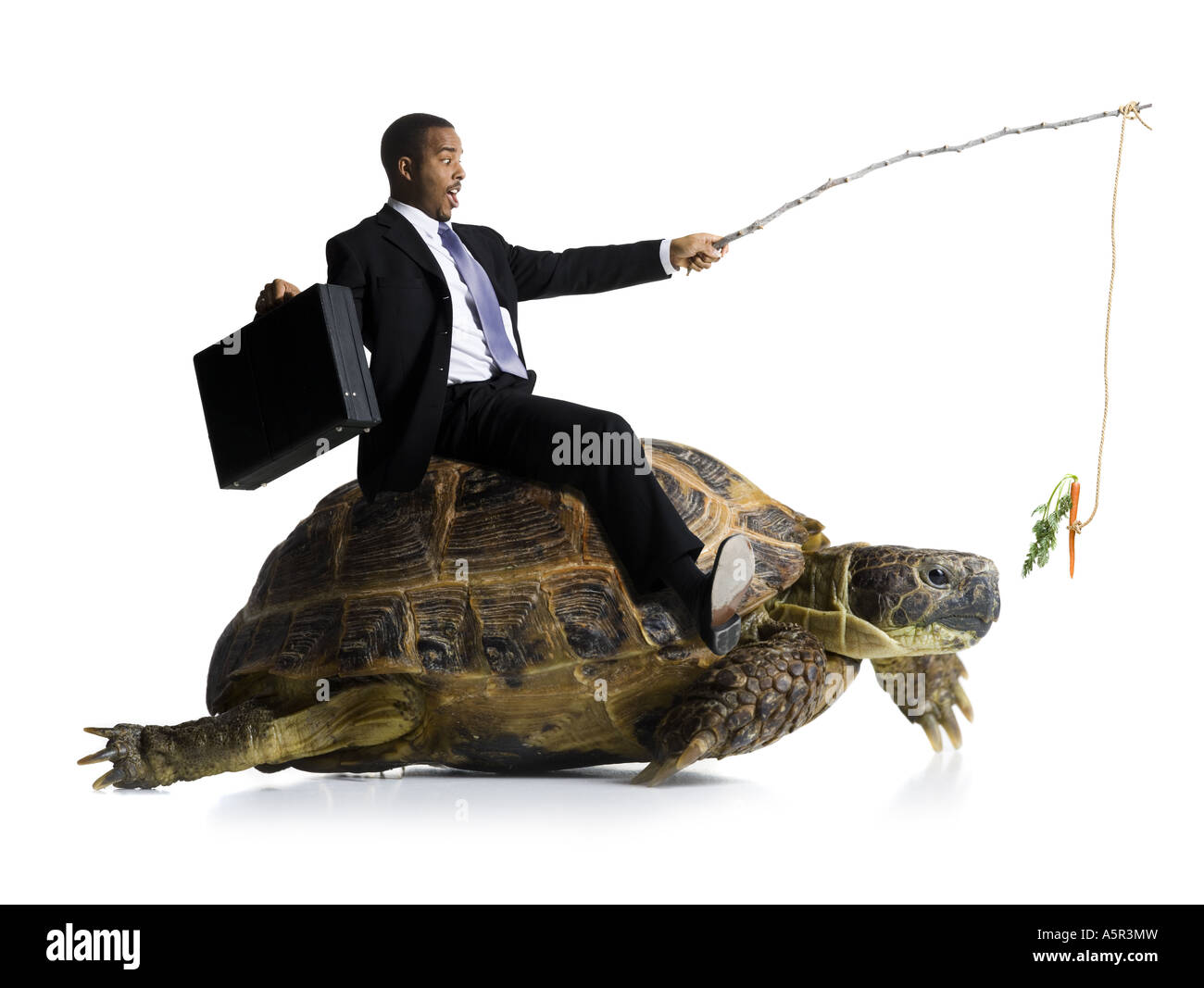 Businessman riding sea turtle with carrot on stick Stock Photo - Alamy
