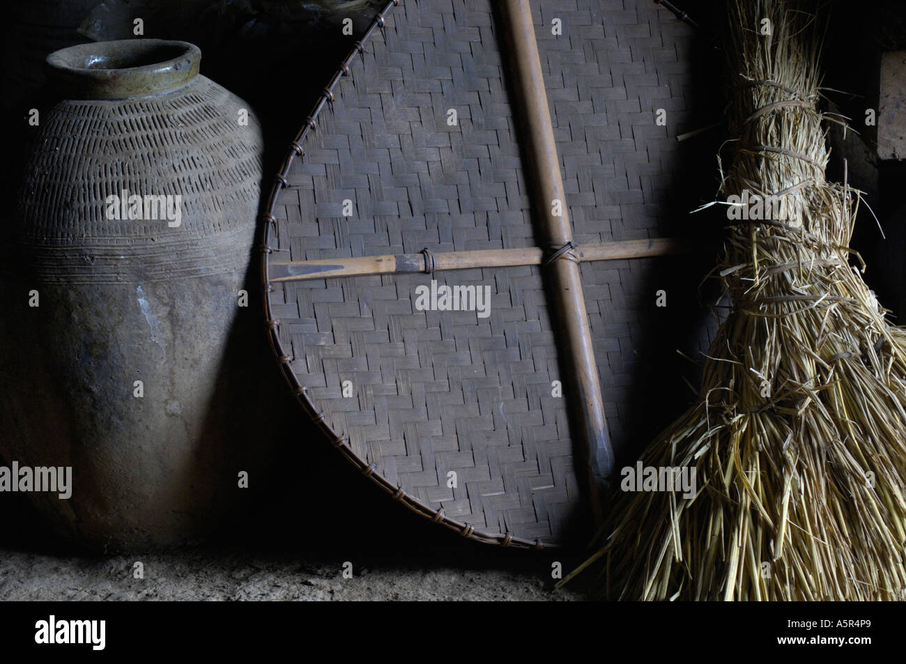 Asian broom grass hi-res stock photography and images - Alamy