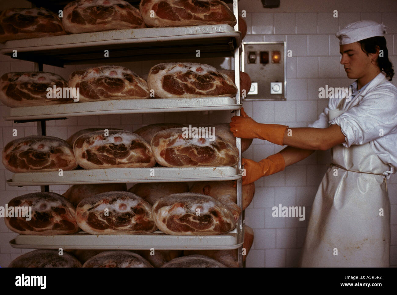 ITALIAN FOOD PARMA HAM IS REFRIGERATED FOR 12 MONTHS TO BE CURED PARMA ...