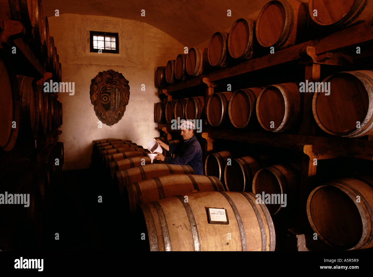 ITALIAN FOOD PIERO BARTOLINI TOPPING UP WINE BARRELS AT THE 11TH ...