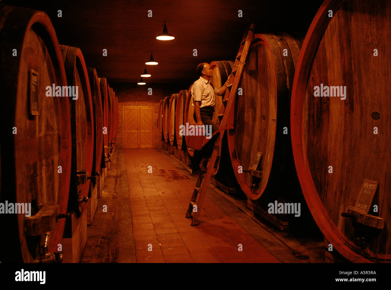 Hi tech winery hi-res stock photography and images - Alamy