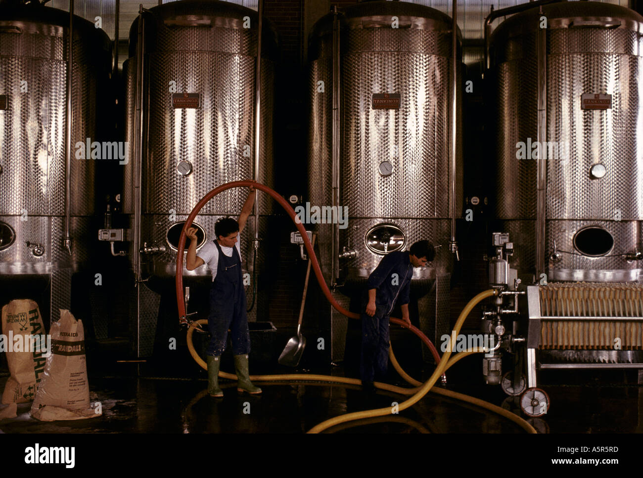 ITALIAN FOOD HI TECH WHITE WINE CLARIFICATION PROCESS CERRETO WINERY ...