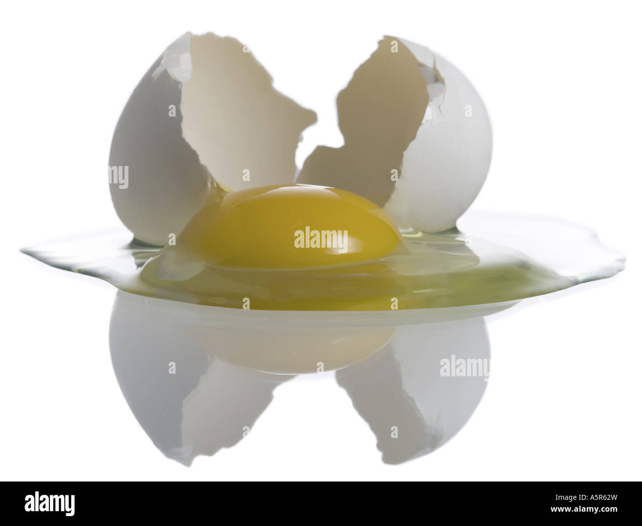Close up of a broken egg Stock Photo - Alamy