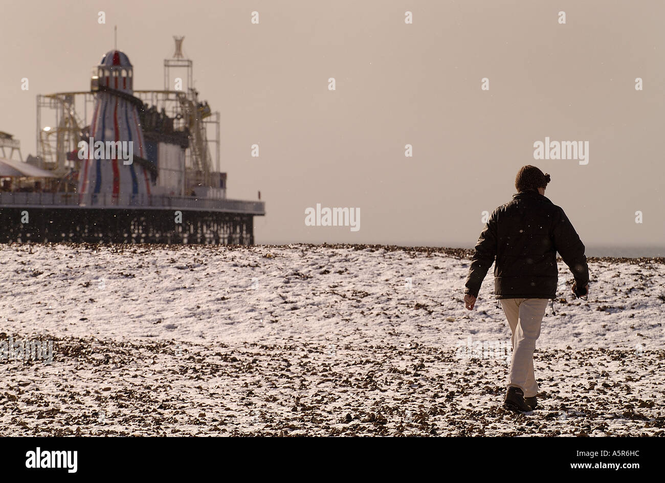 Members of Brighton Swimming Club off for their daily swim in the ...
