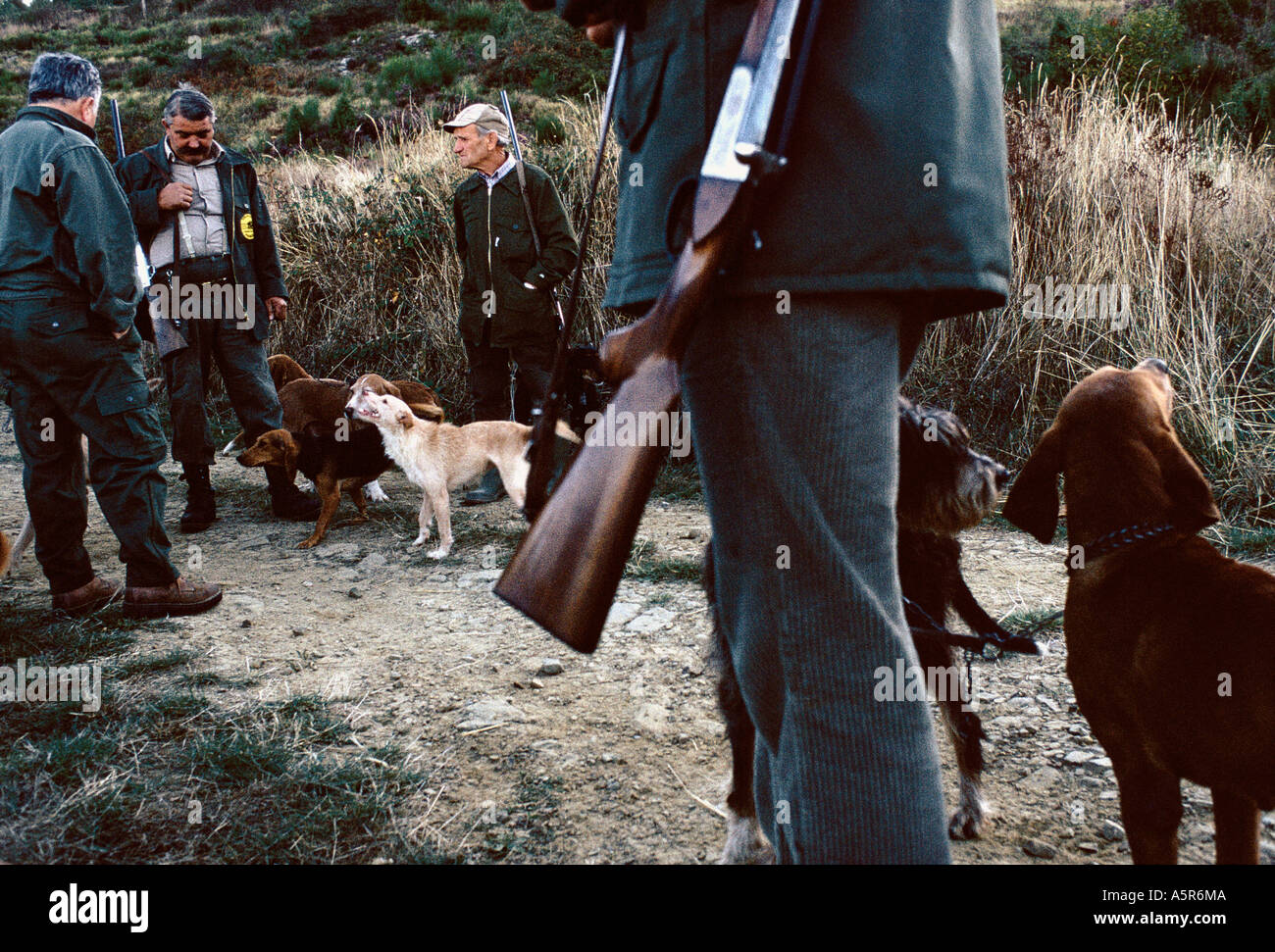 Wild boar hunters hi-res stock photography and images - Alamy
