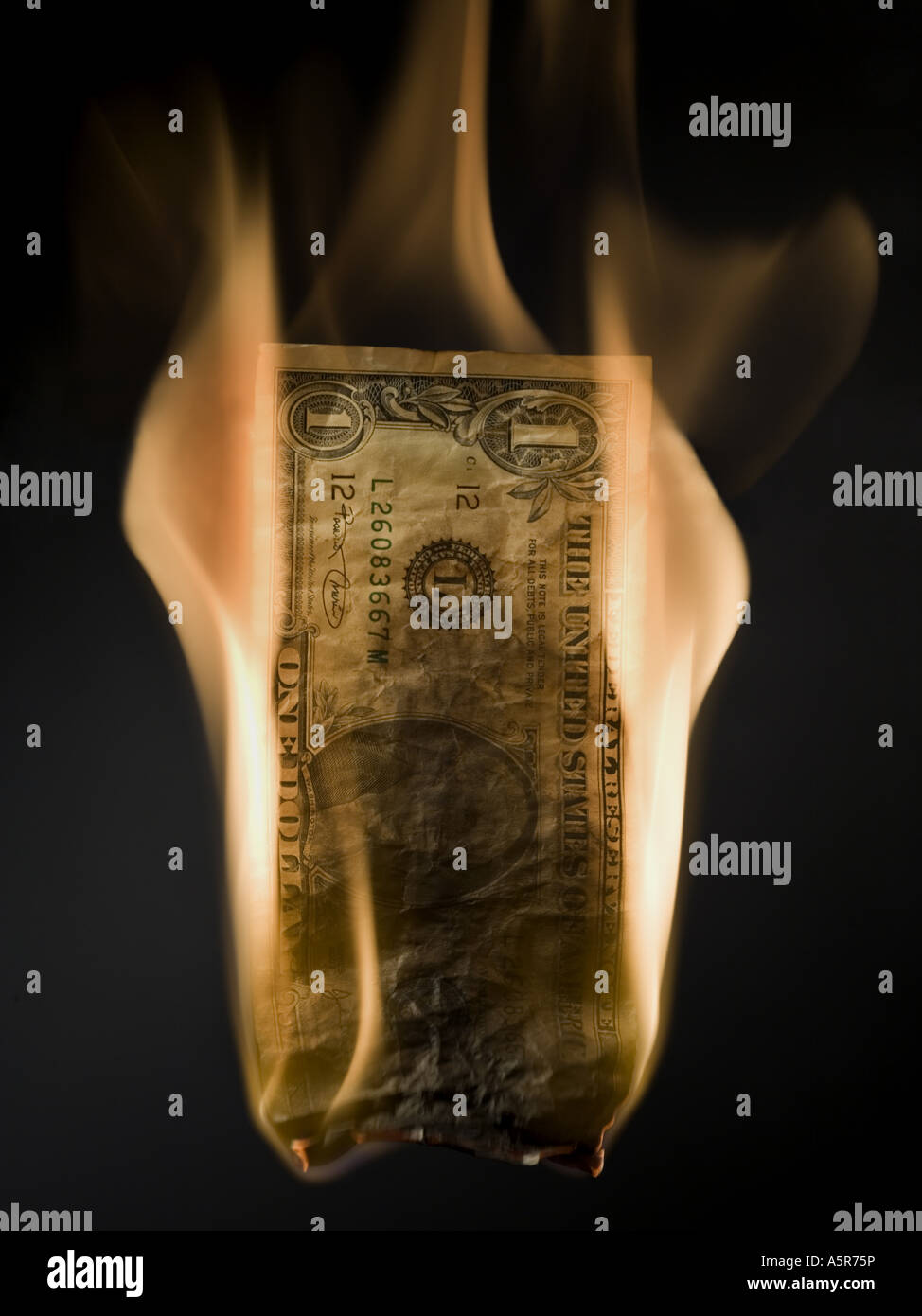United States one dollar bill on fire Stock Photo - Alamy