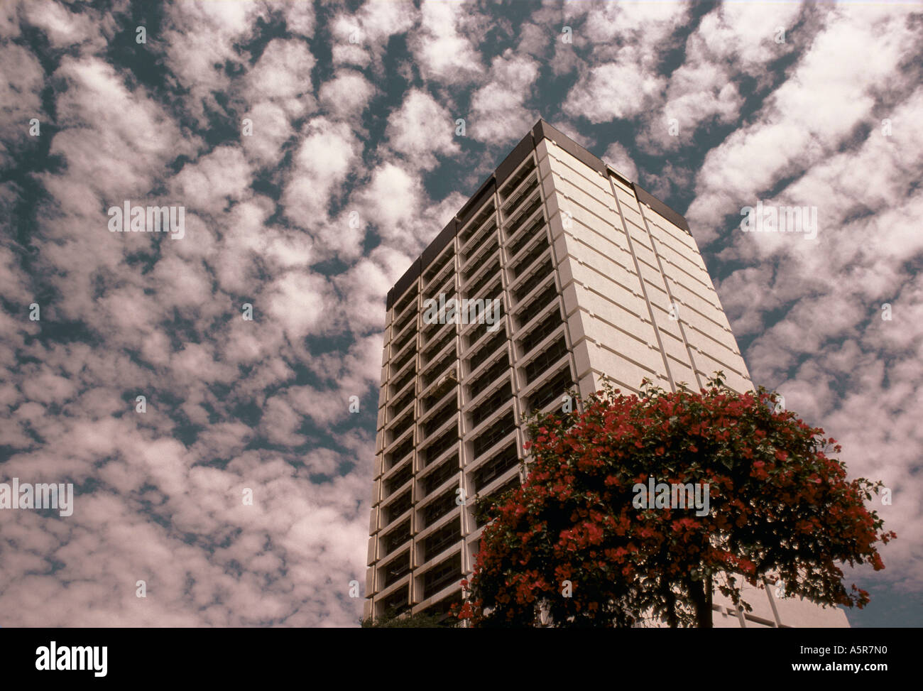 TOWER BLOCK NAIROBI CITY CENTRE KENYA 1985 Stock Photo - Alamy