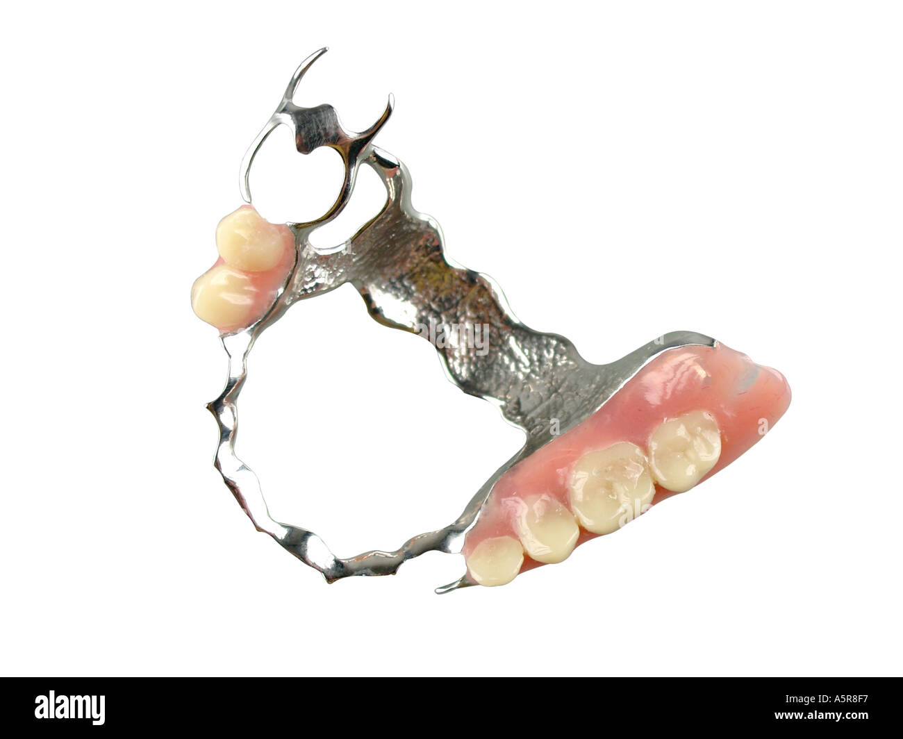 Humour bizarre Cut Out Stock Images & Pictures - Alamy