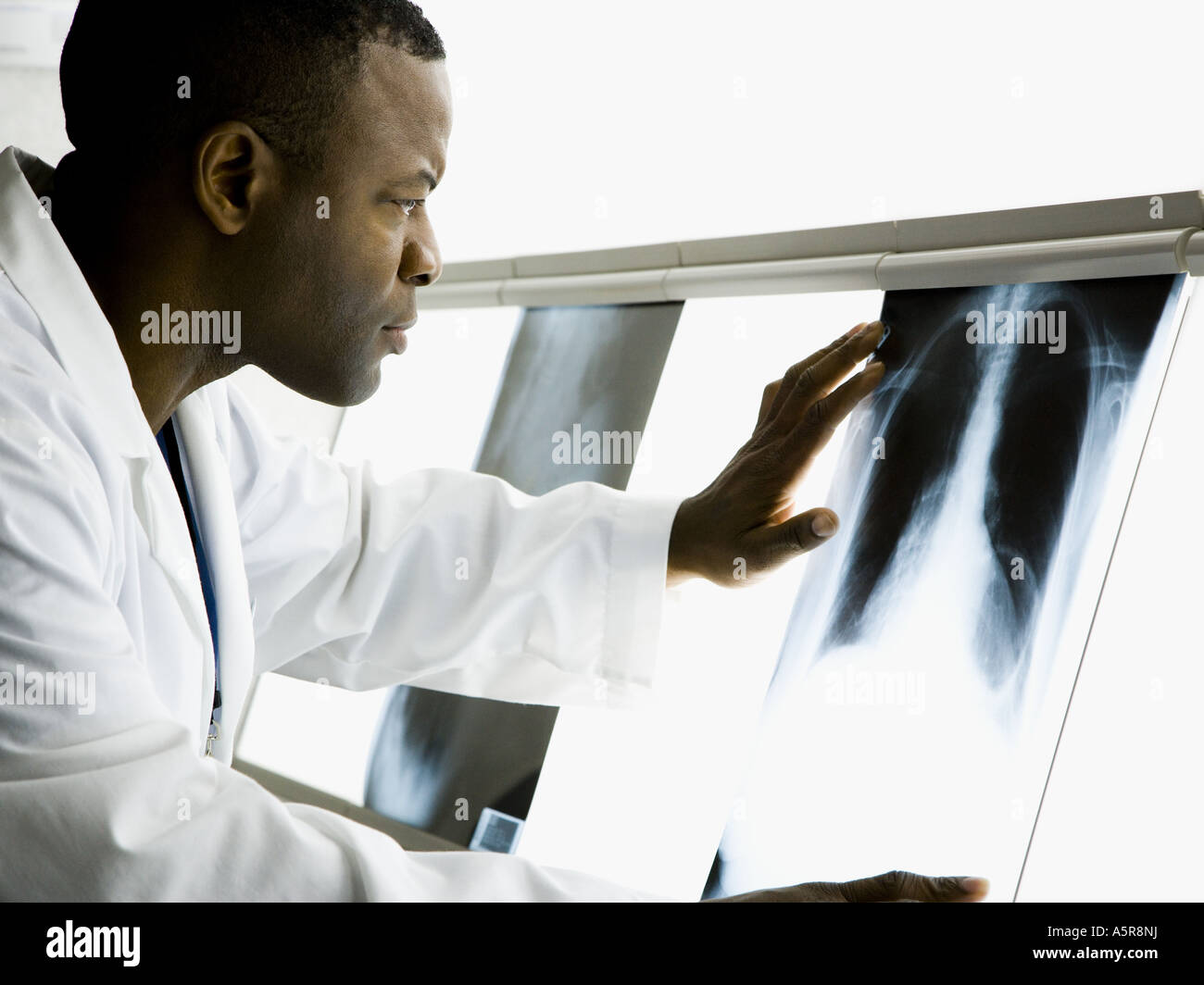 Male doctor looking at chest x rays Stock Photo - Alamy