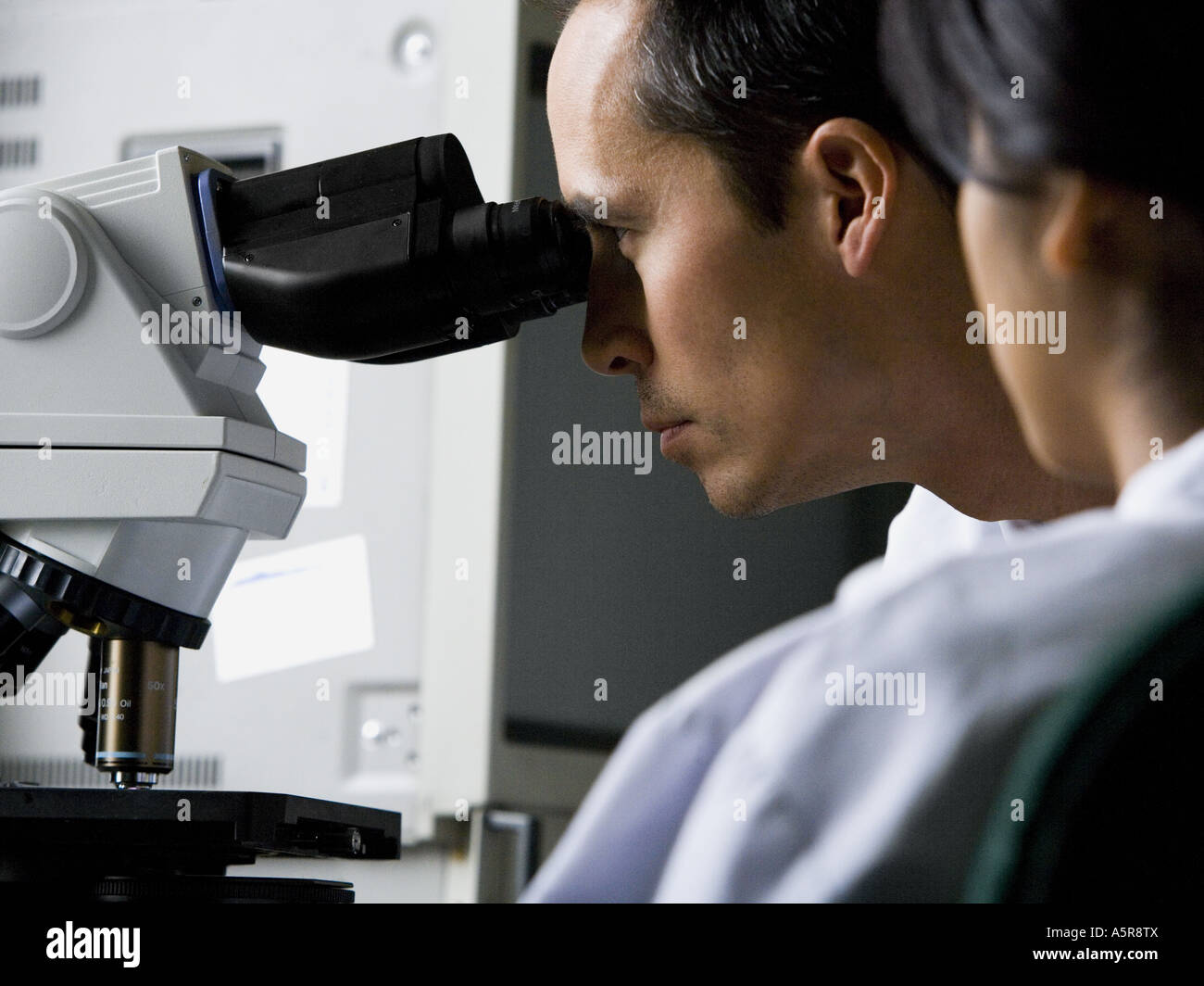 Male laboratory technician looking in microscope Stock Photo - Alamy