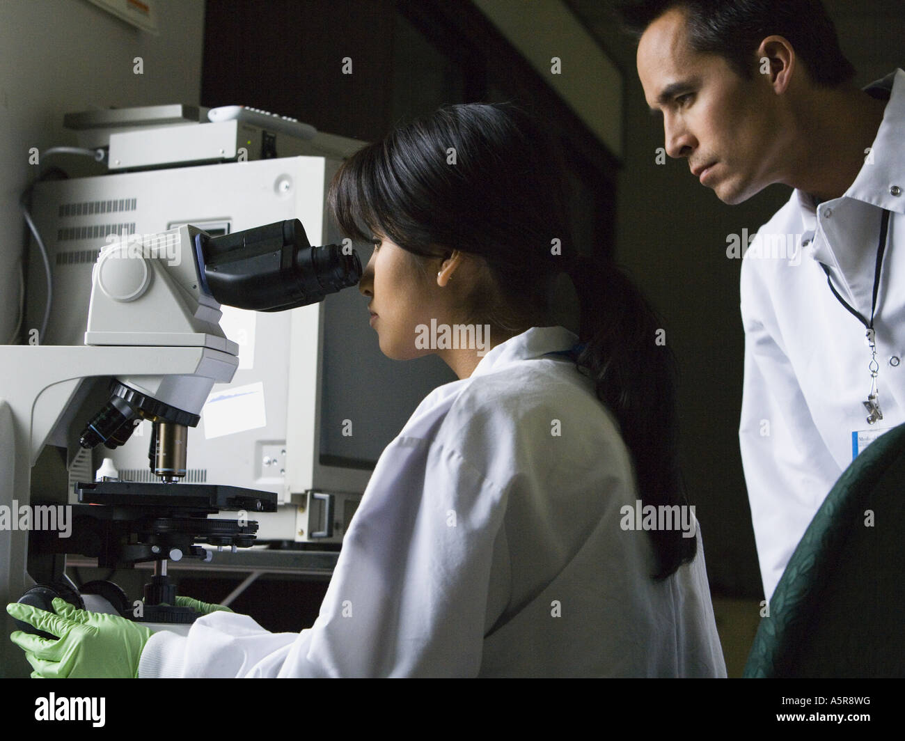 Male laboratory technician looking in microscope Stock Photo - Alamy