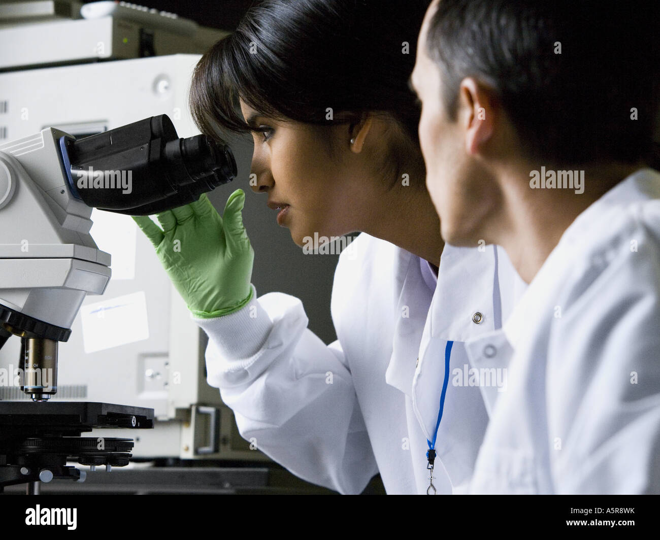 Female lab technician looking through microscope with male technician ...