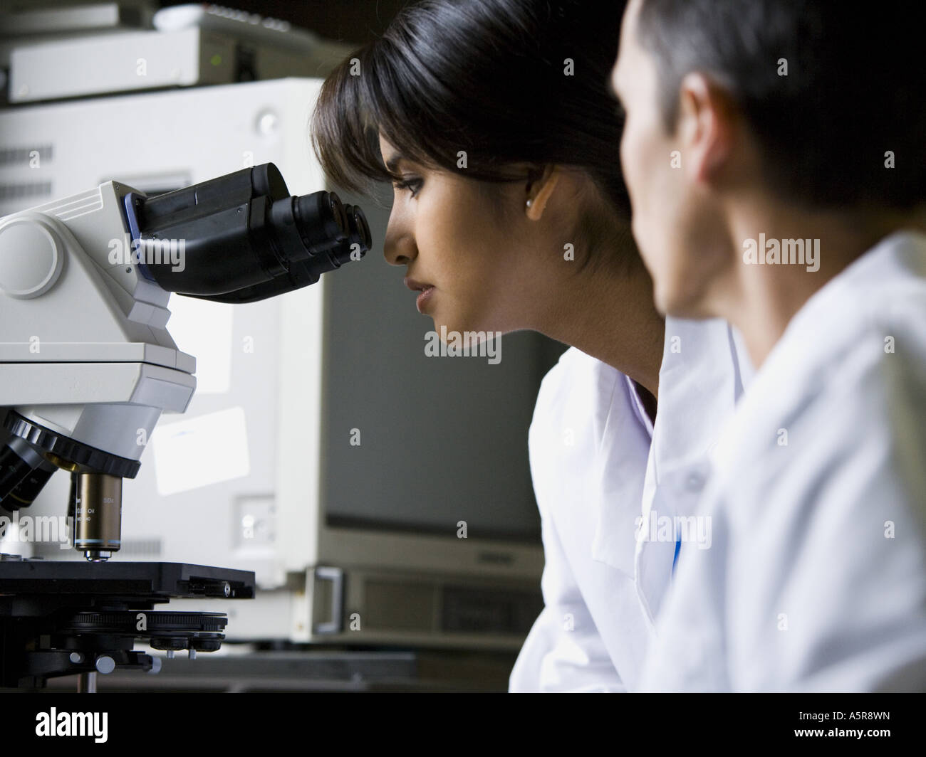 Female lab technician looking through microscope with male technician ...