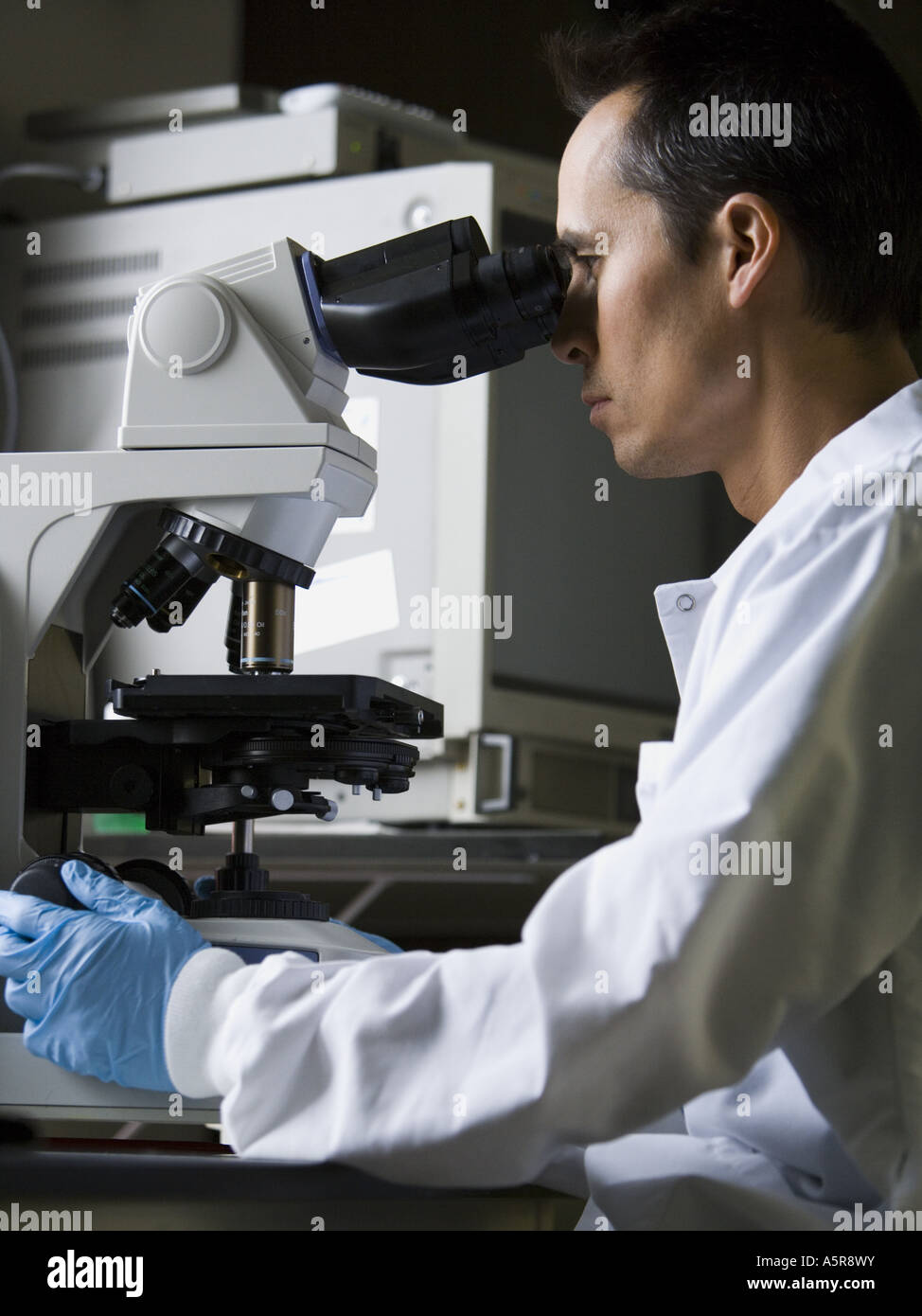 Male laboratory technician looking in microscope Stock Photo - Alamy