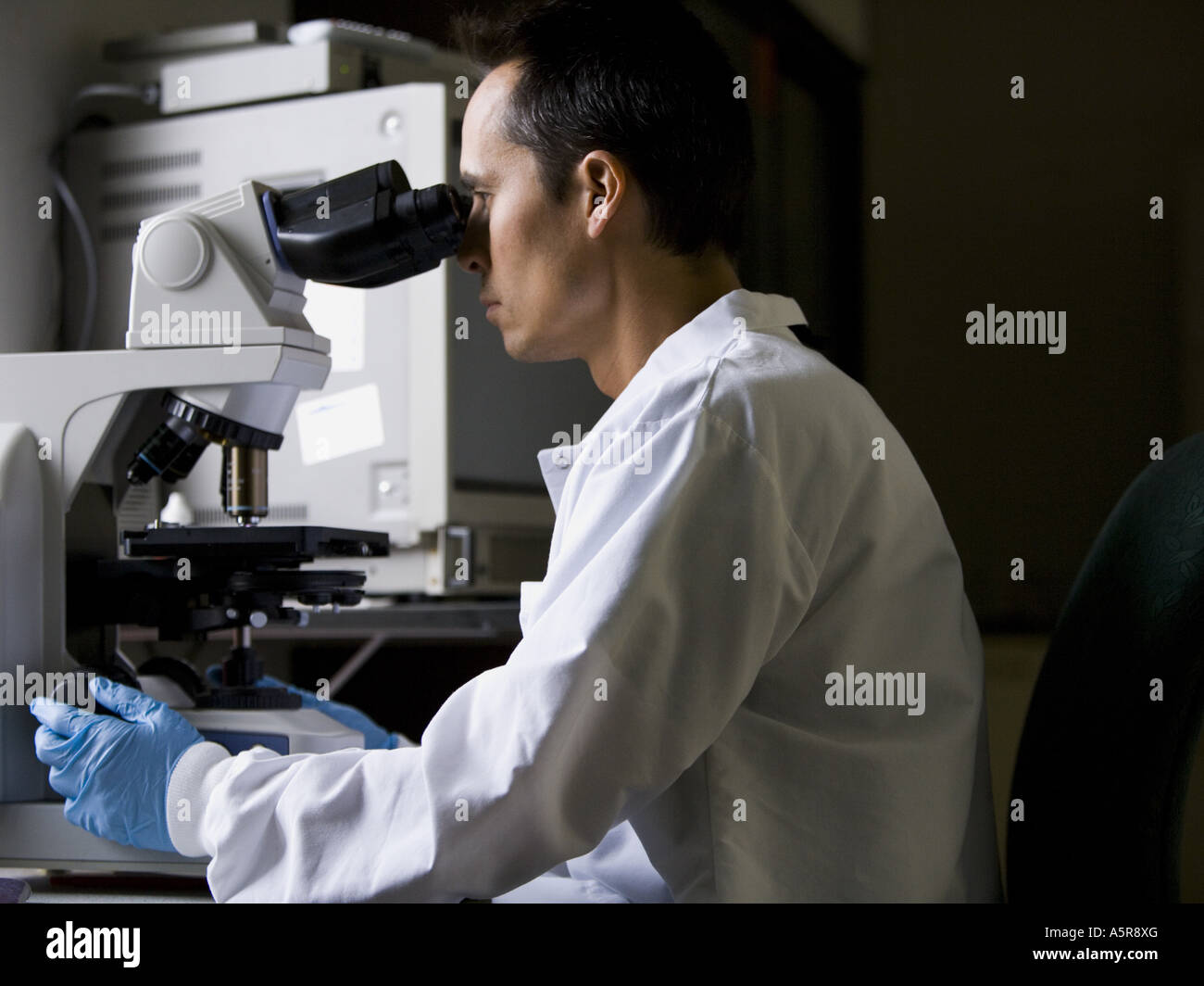 Male laboratory technician looking in microscope Stock Photo - Alamy