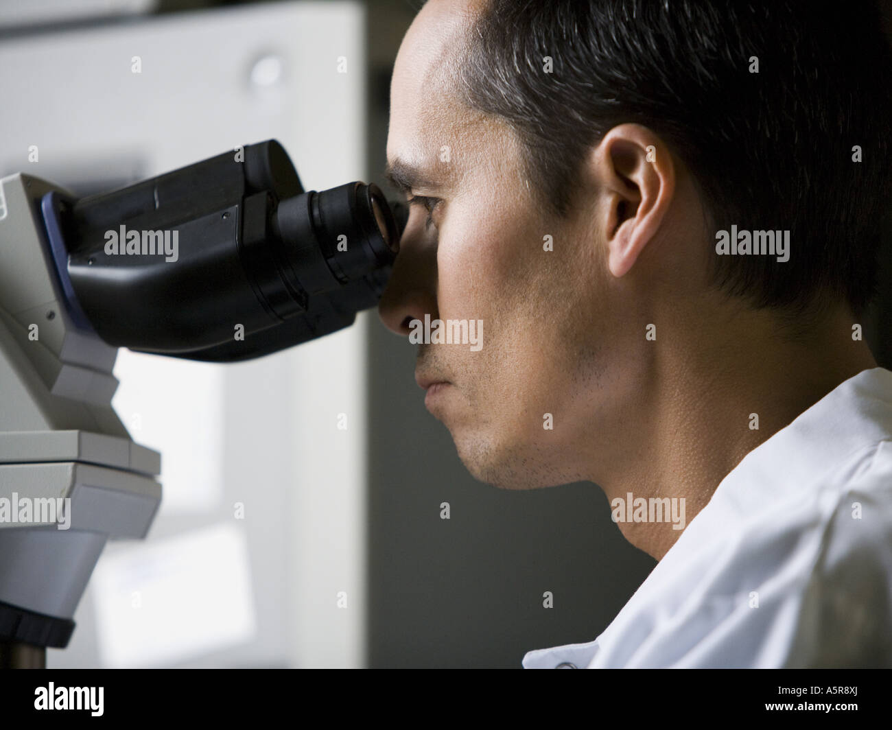 Male laboratory technician looking in microscope Stock Photo - Alamy