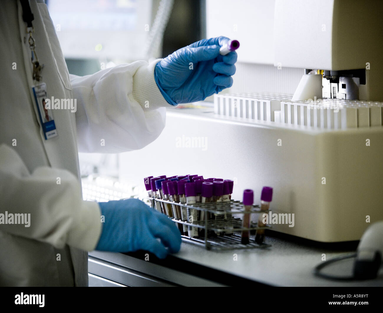 Test tubes in laboratory Stock Photo - Alamy