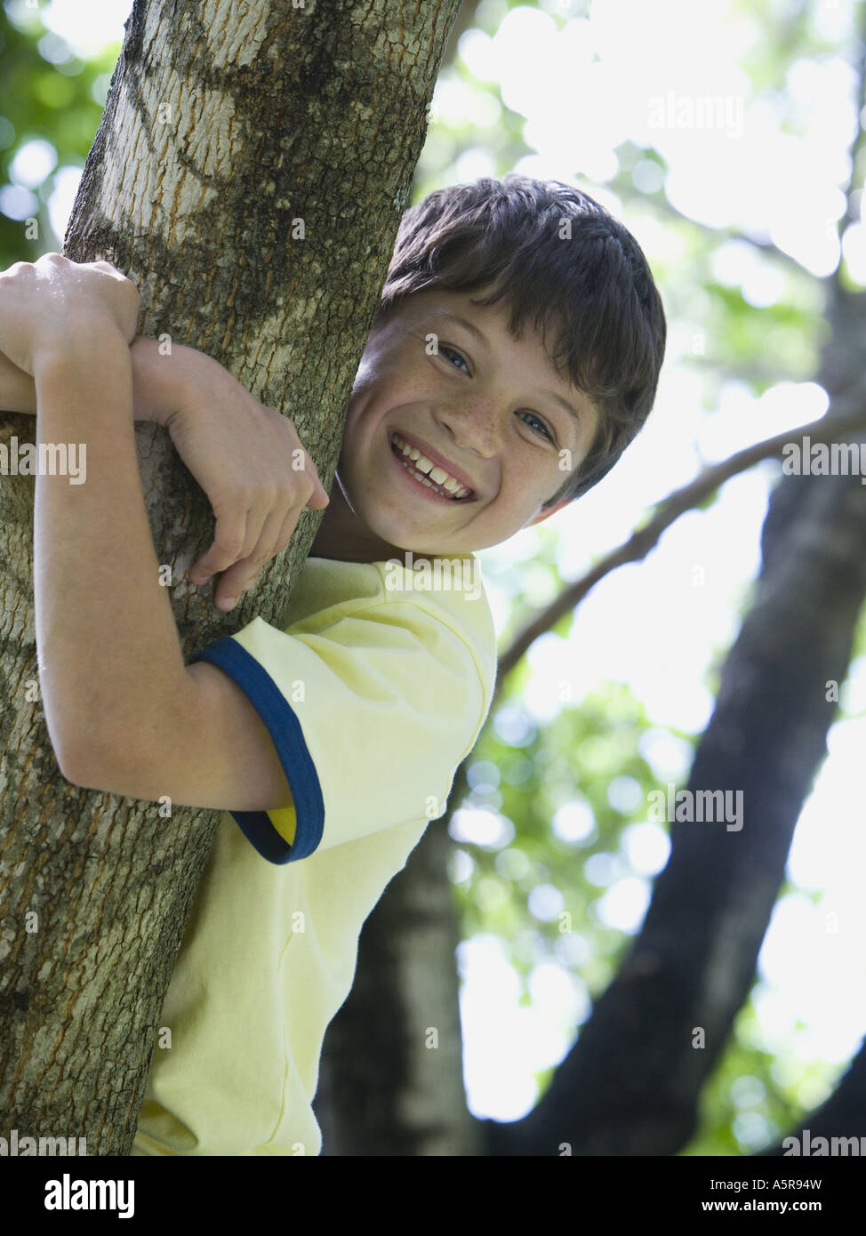 Portrait of a boy holding the branch of a tree Stock Photo - Alamy