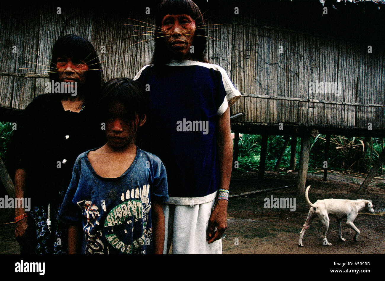 Matses women hi-res stock photography and images - Alamy