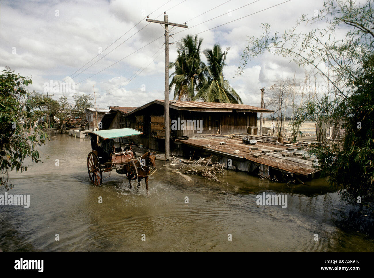 MOUNT PINATUBO AREA PHILLIPINES VOLCANO ERRUPTION 1991 PARULOG VILLAGE ...