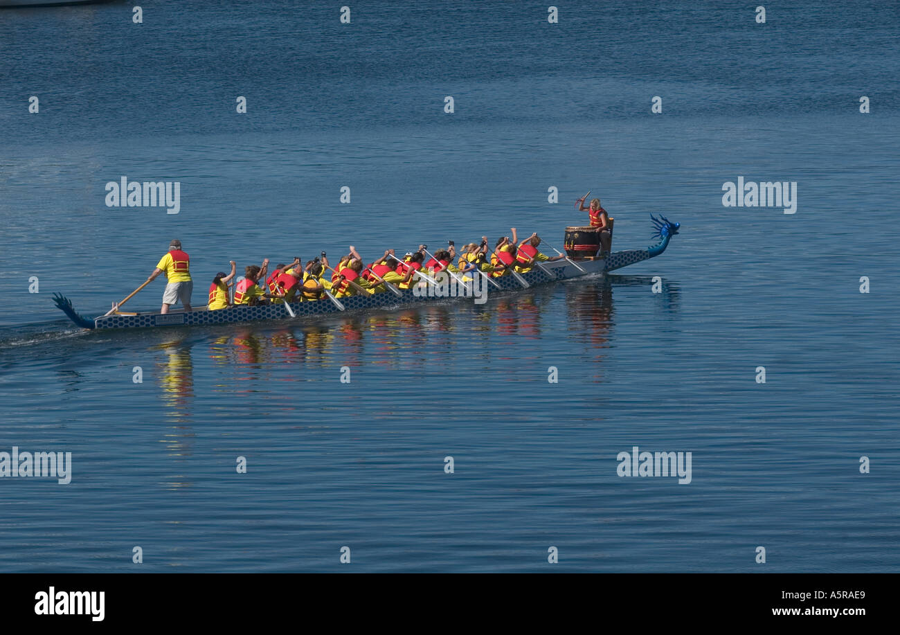 Dragon boat racing, Comox Harbour, Vancouver Island, BC, Canada Stock ...