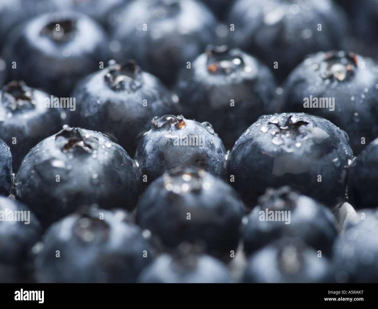 Close up of blueberries Stock Photo - Alamy