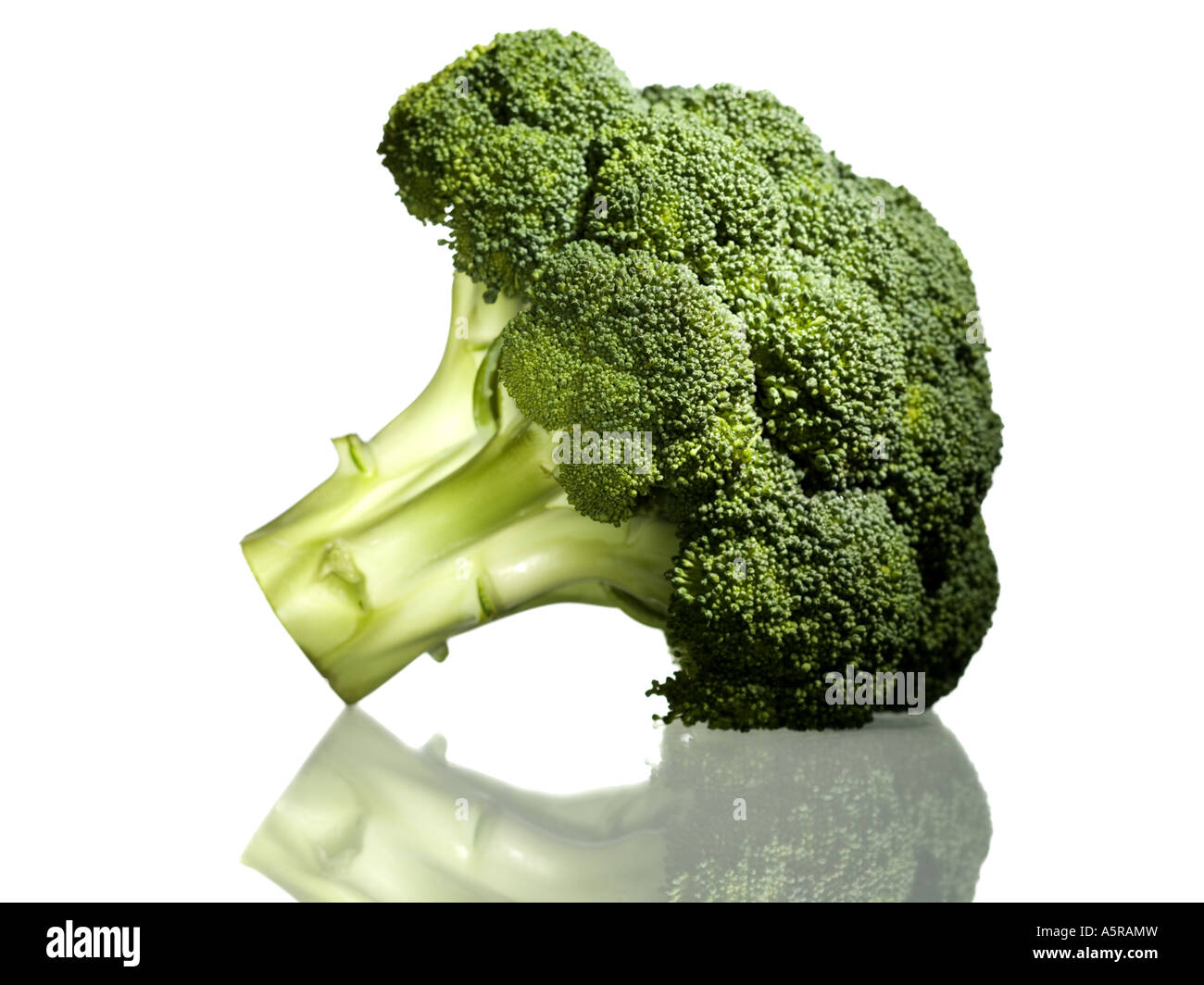 Close up of a floret of broccoli Stock Photo - Alamy