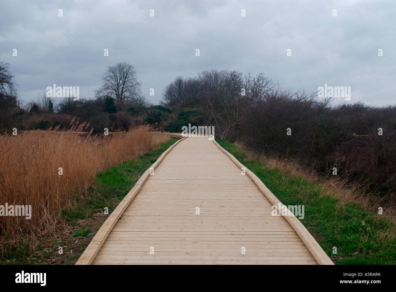 Rainham Marsh nature reserve wooden raised footpath. 6139 Stock Photo ...